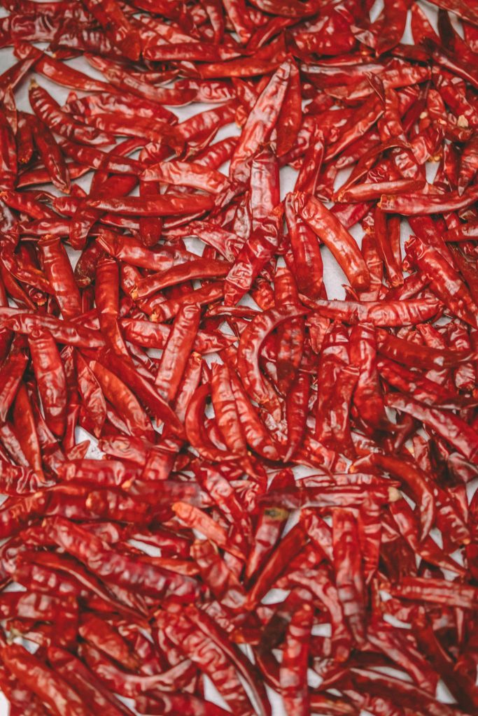 AFAR_NEPAL-BHUTAN_LUXURY-GOLD-3870 - USTOA Blog