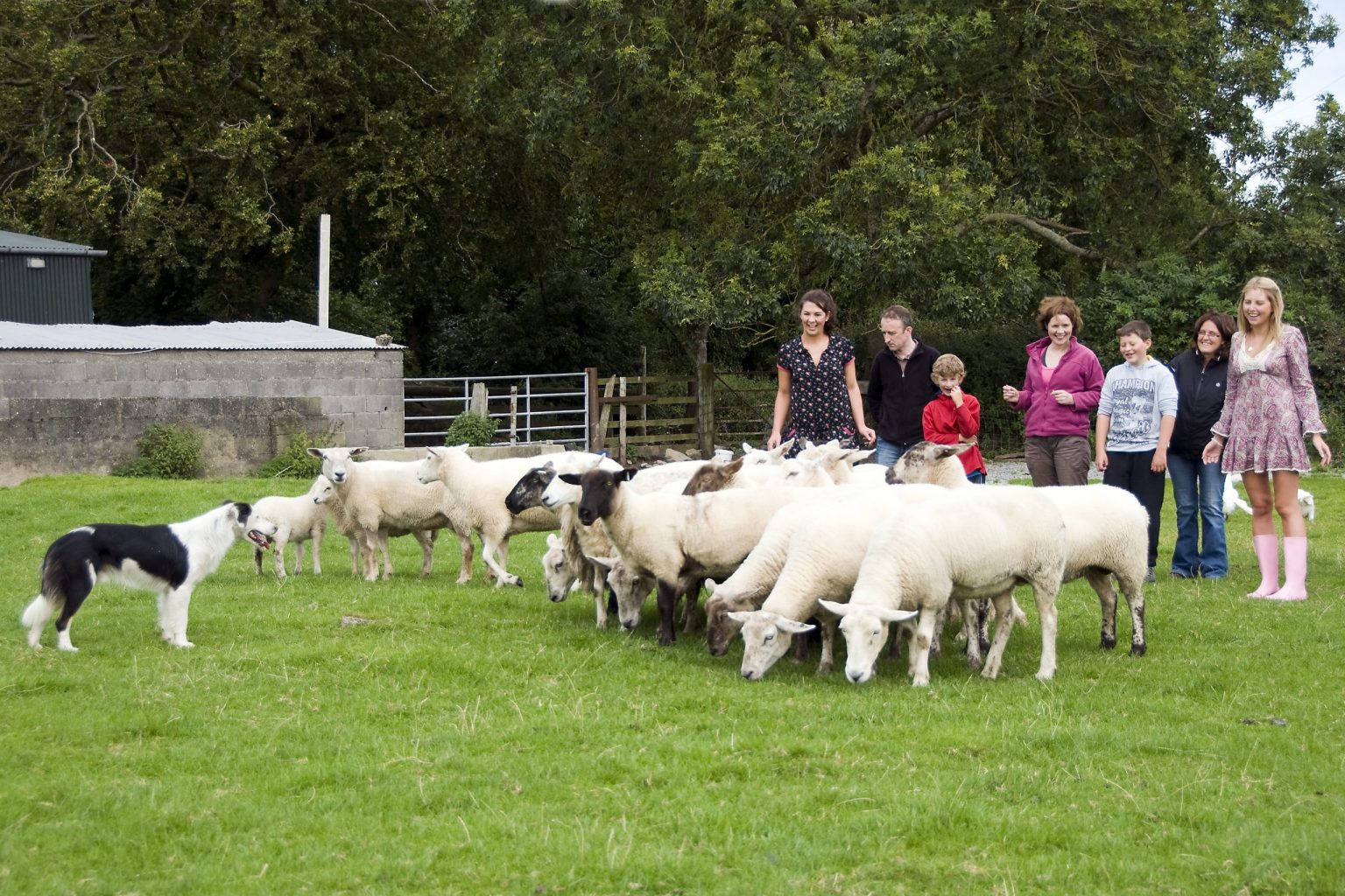 Causey-Farm-1 - USTOA Blog