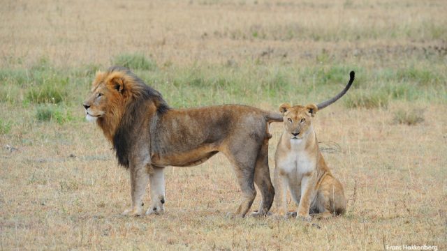 USTOA Blog - The official blog for the United States Tour Operators ...